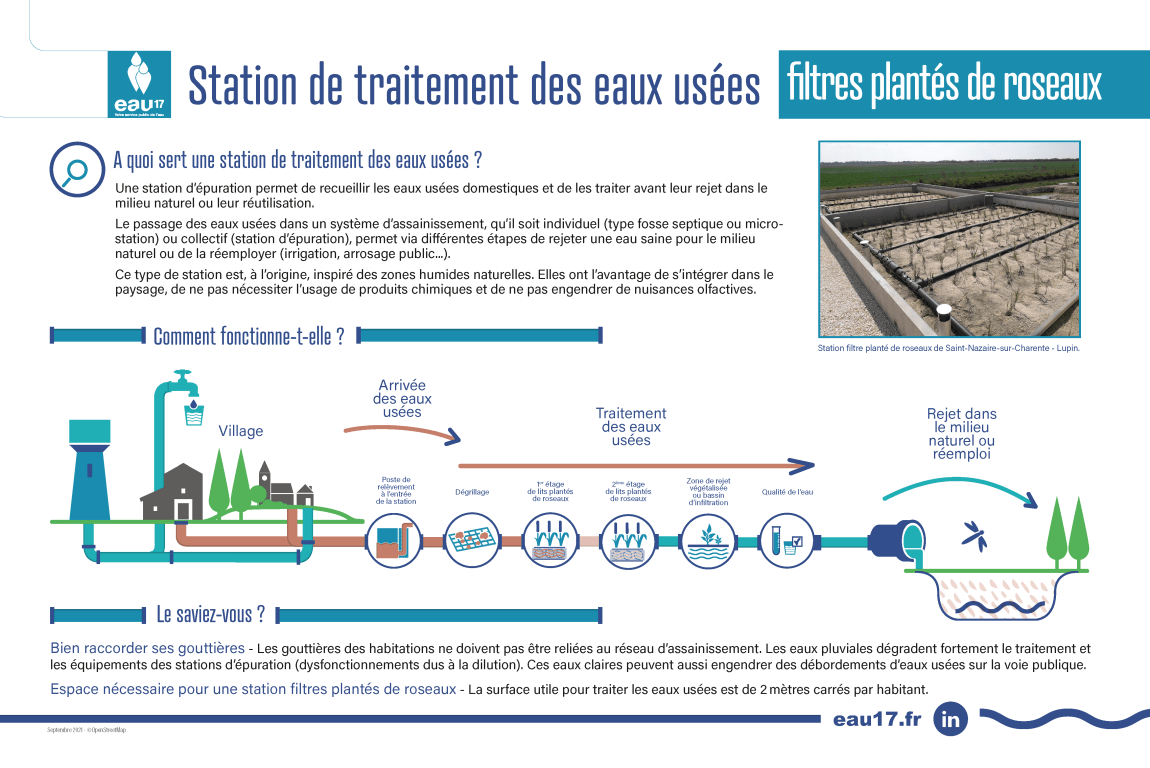 Comment fonctionne une station d'épuration par filtres plantés de ...